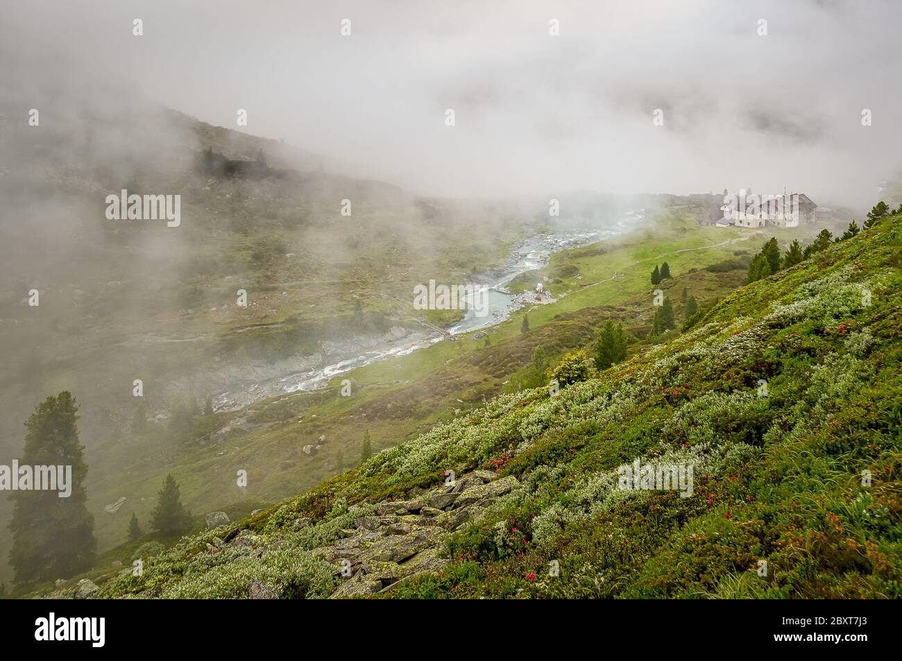 Downside view hi-res stock photography and images - Alamy