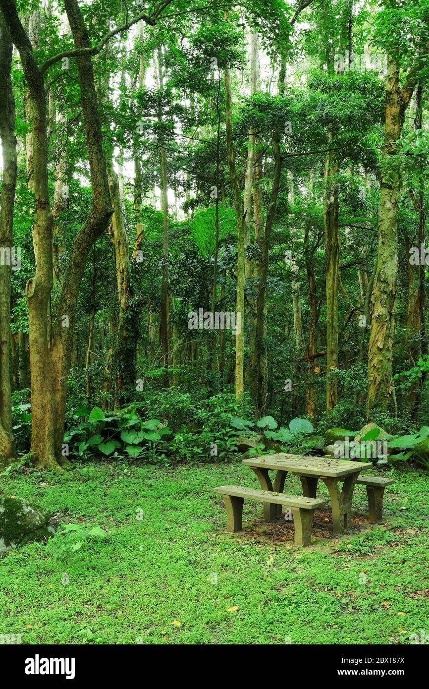 picnic place in forest Stock Photo - Alamy