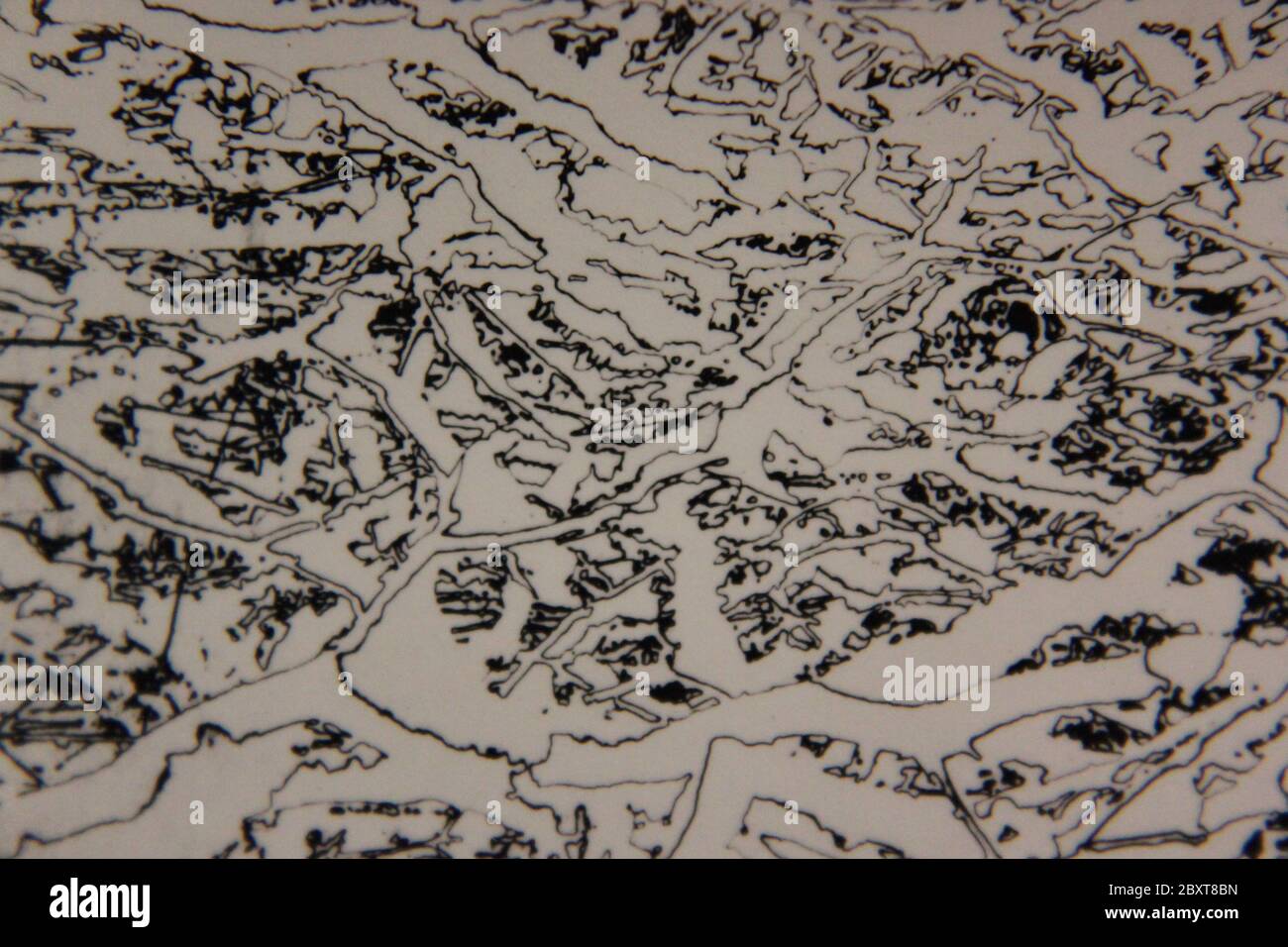 Fine 1970s vintage black and white photography of nature in a dream ...