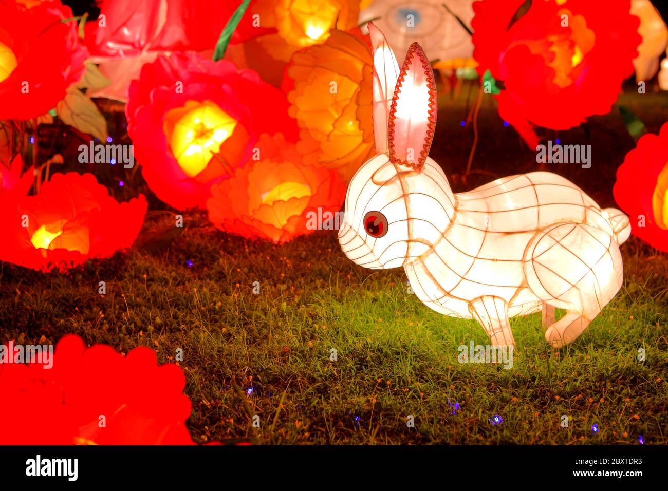 rabbit lantern for Chinese mid autumn festival Stock Photo - Alamy