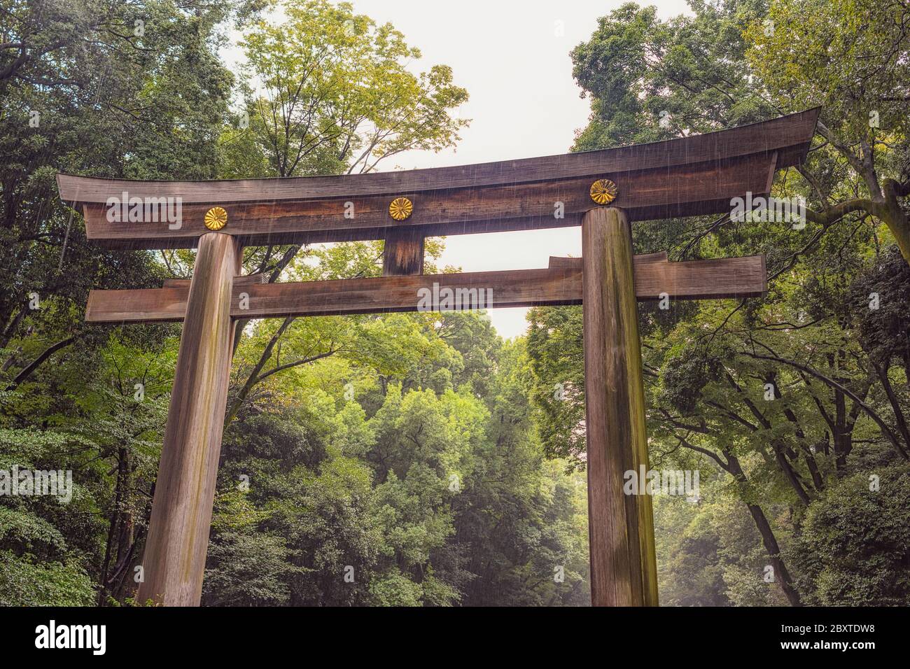 Torii gate leading to the Meiji Shrine complex. Meiji Shrine (Meiji ...