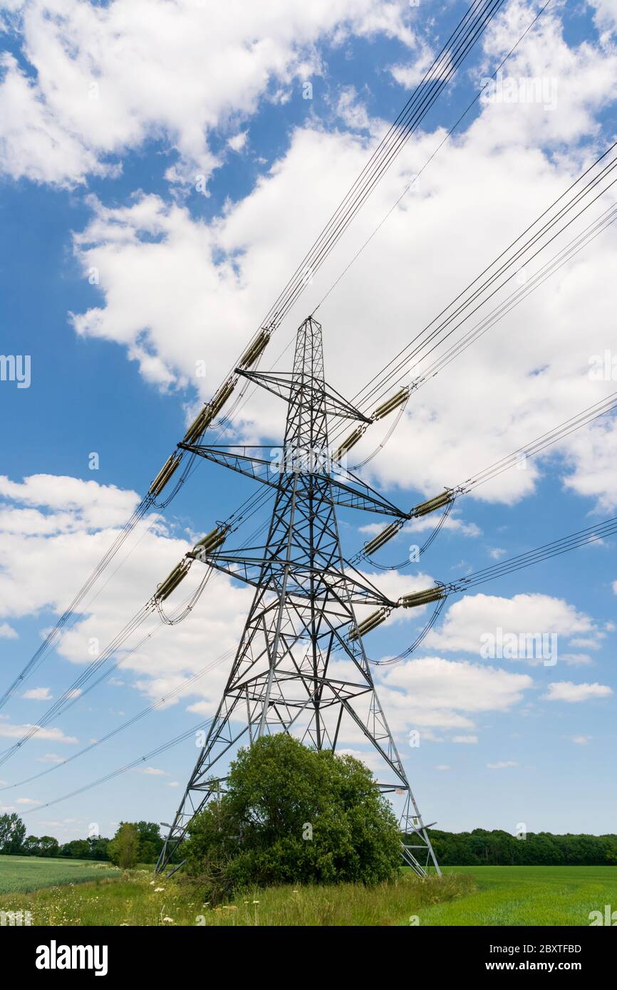 Electricity pylon in a field with blue sky. Much Hadham. Hertfordshire ...