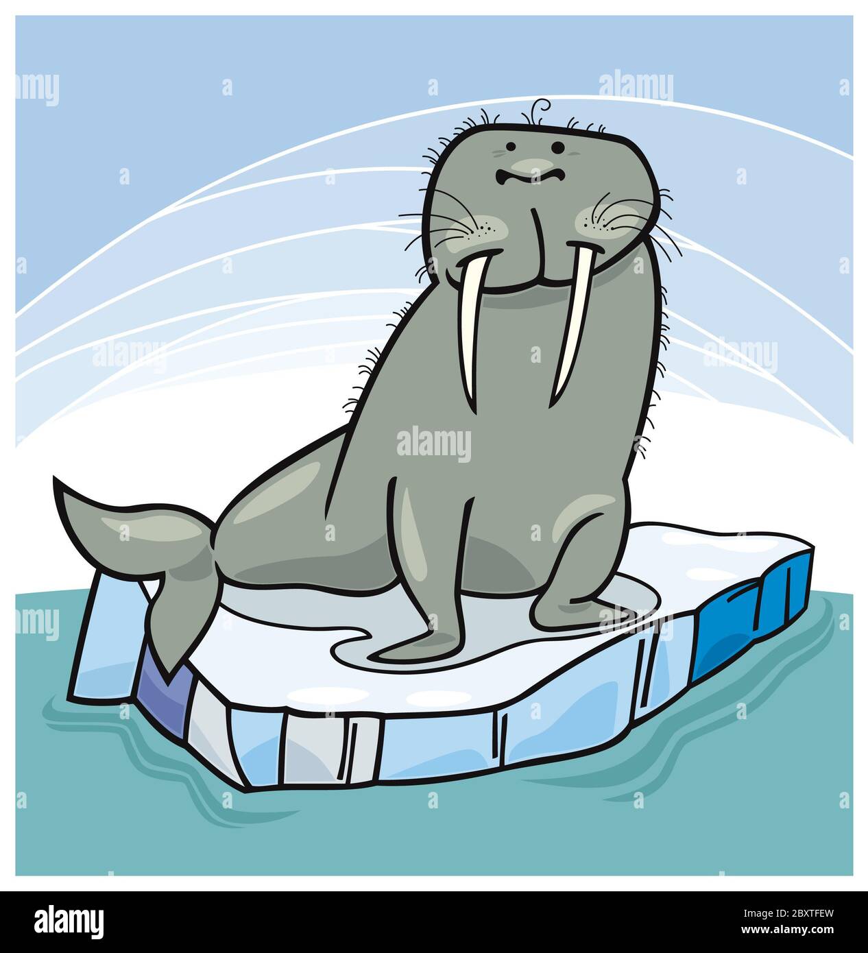 Walrus on floating ice Stock Photo - Alamy