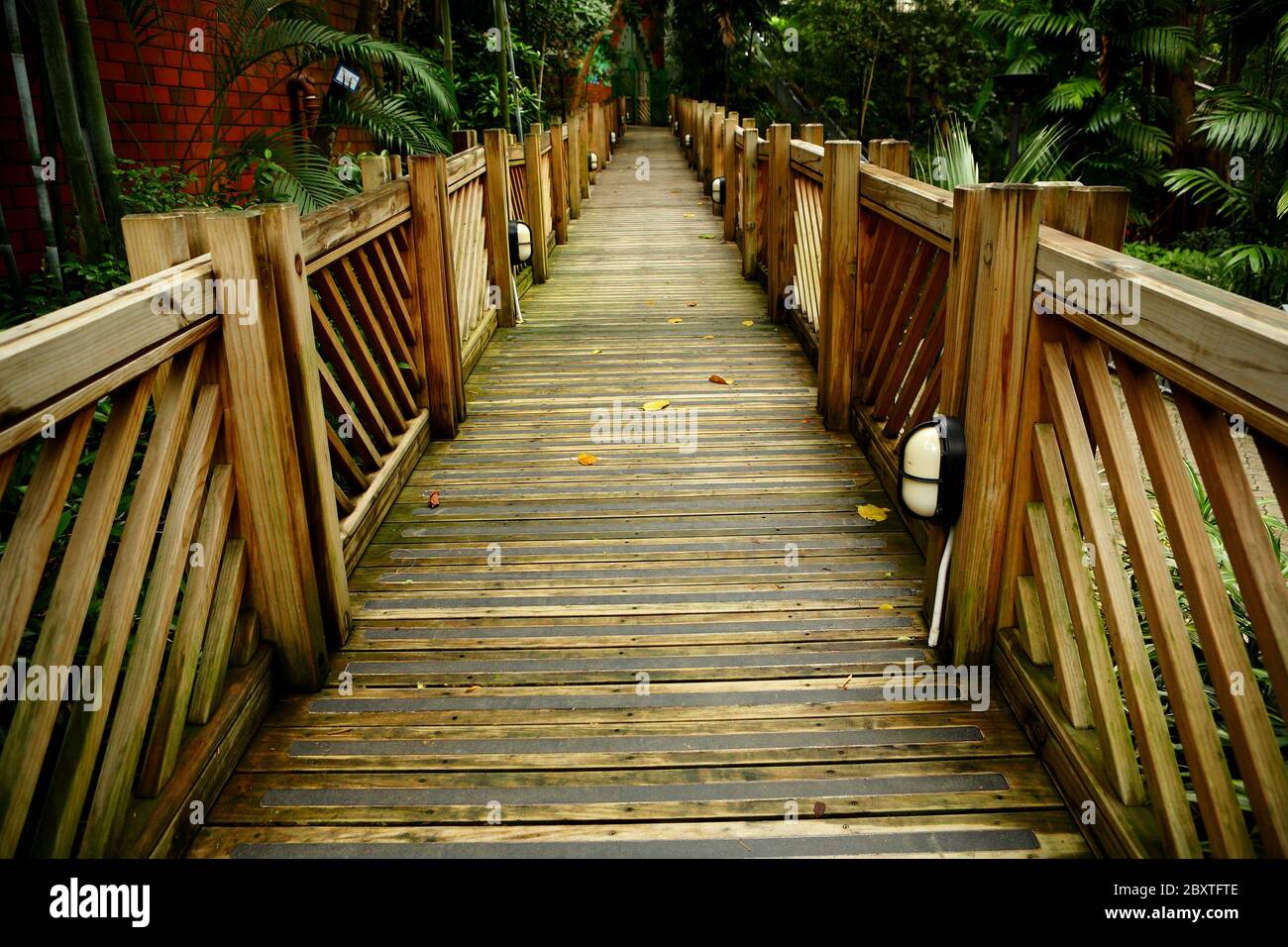 wood way in forest Stock Photo - Alamy