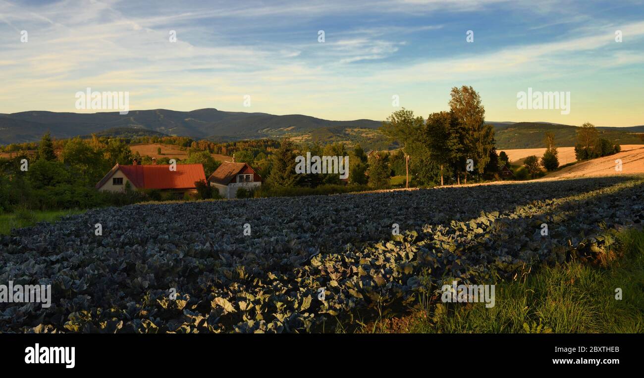 Typical Czech landscape Stock Photo - Alamy