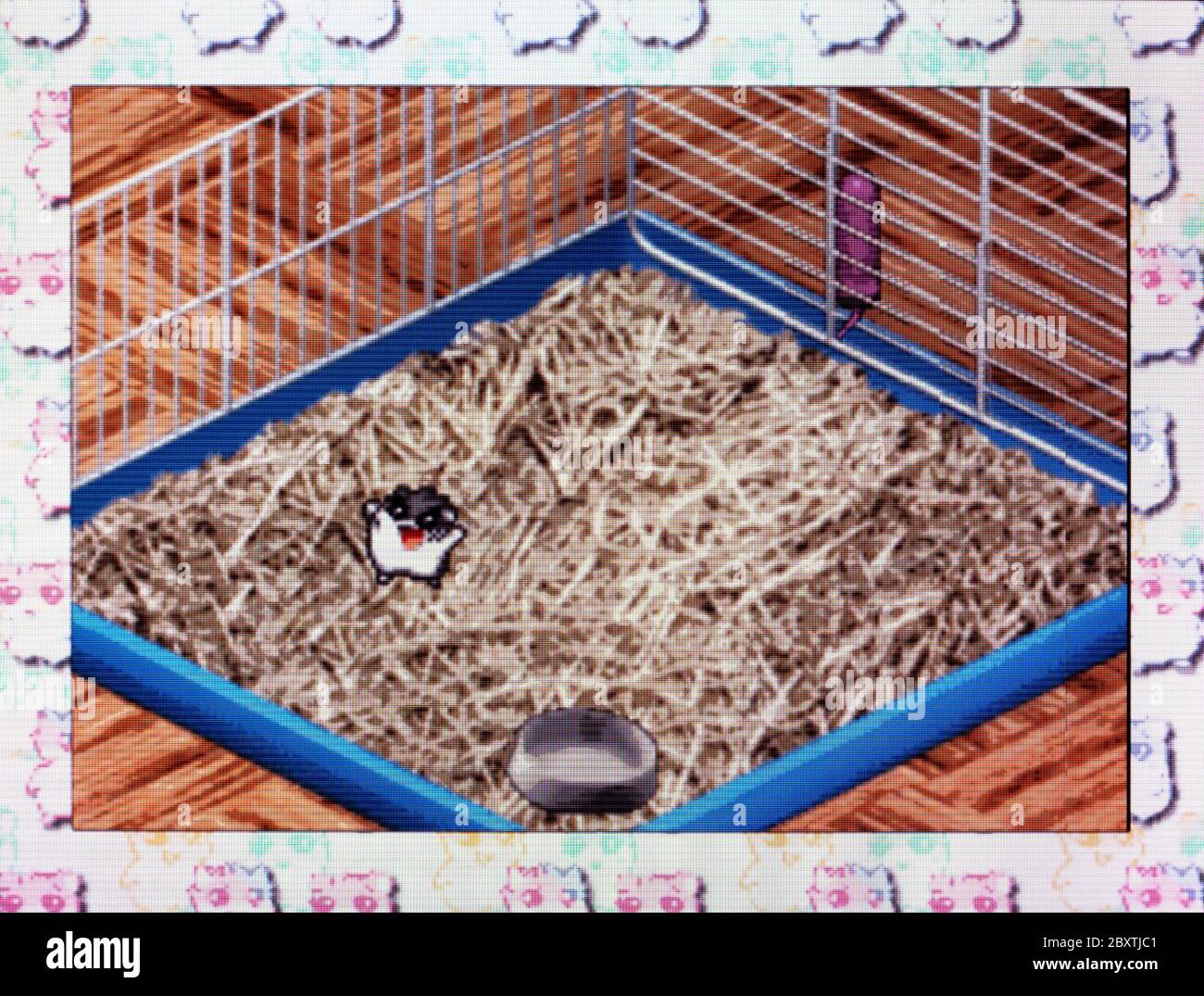 Hamster Monogatari 64 - Nintendo 64 Videogame - Editorial use only ...