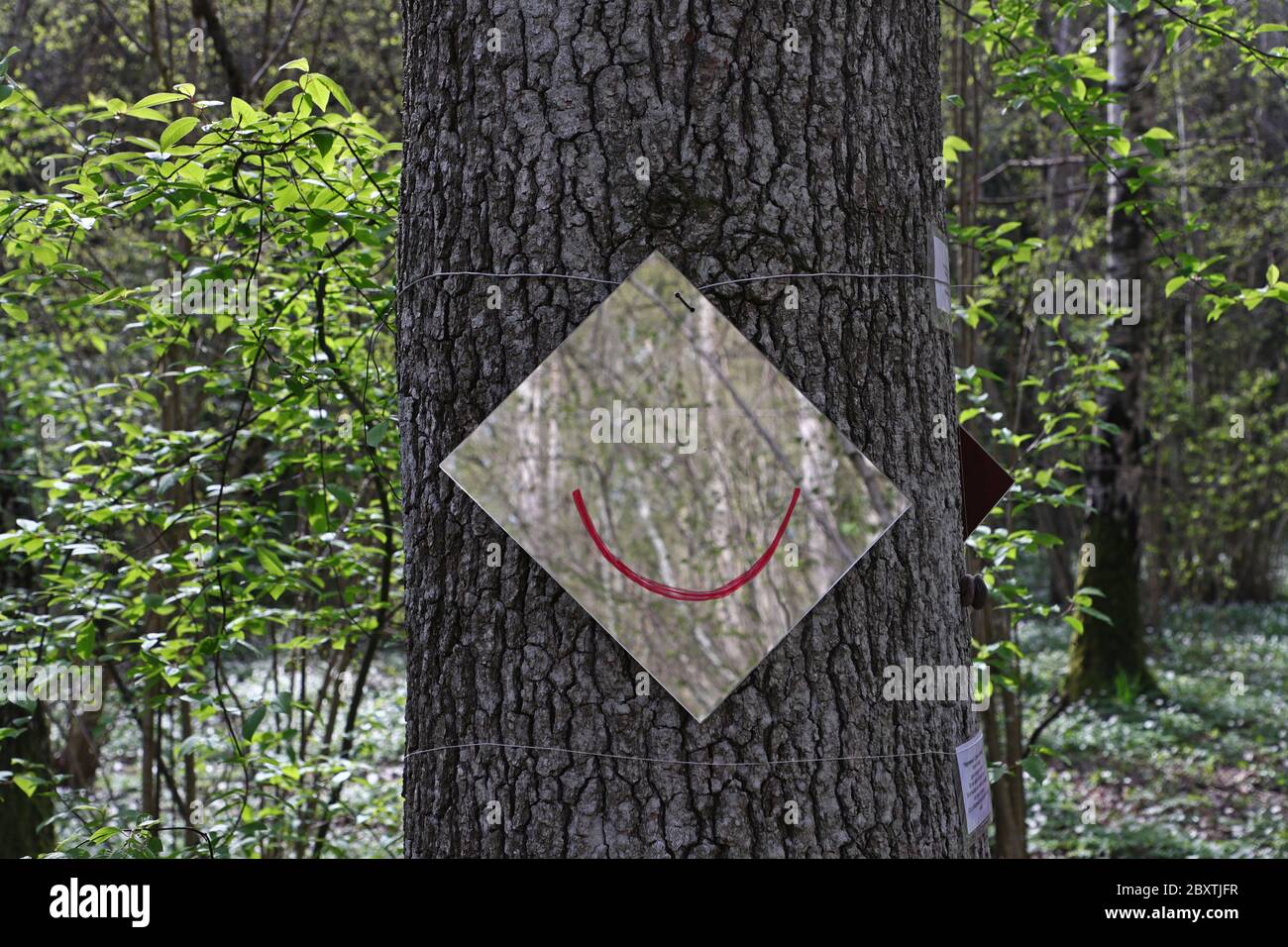 Always smiley hi-res stock photography and images - Alamy