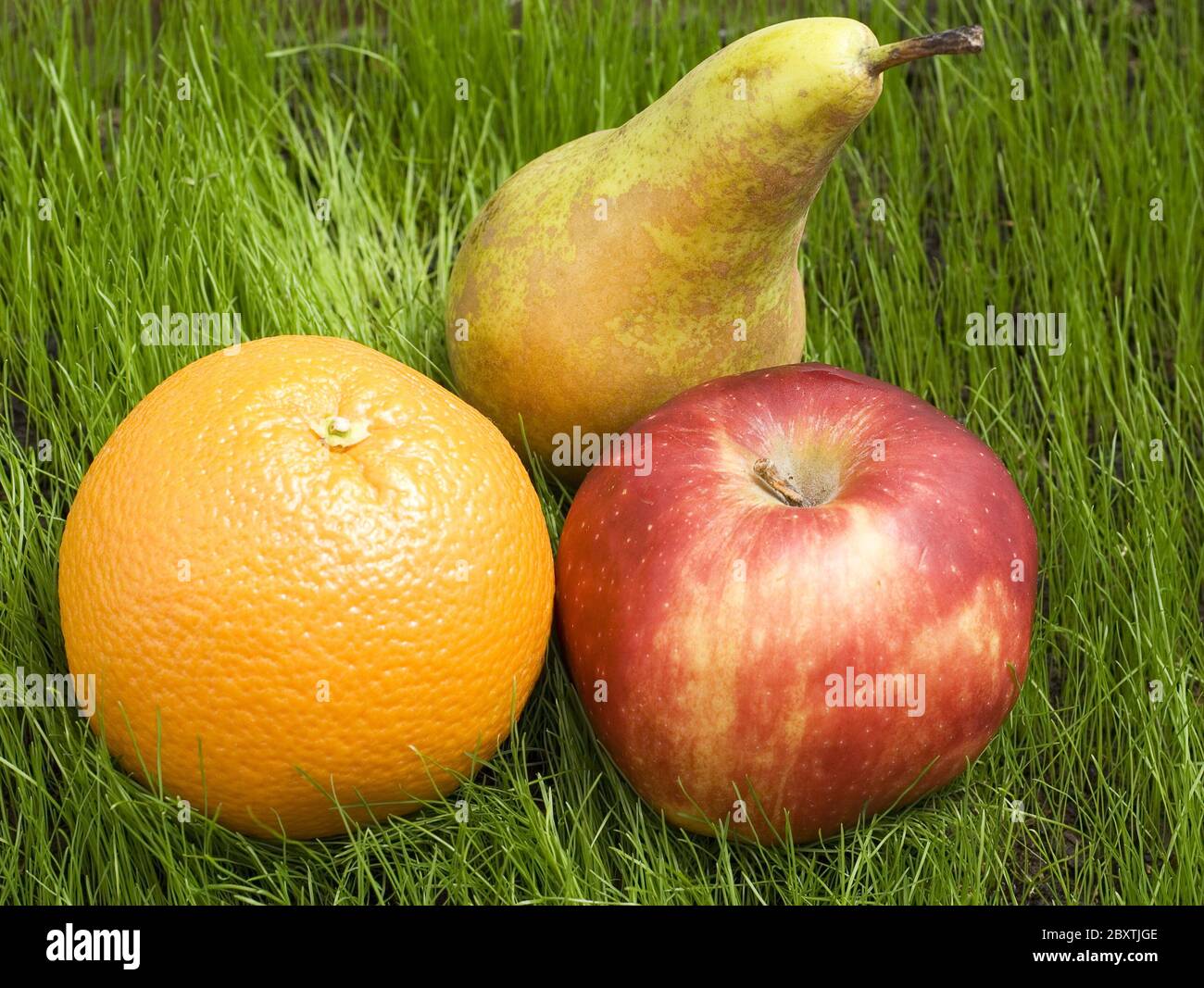 Green passion fruits on fruit hi-res stock photography and images - Alamy