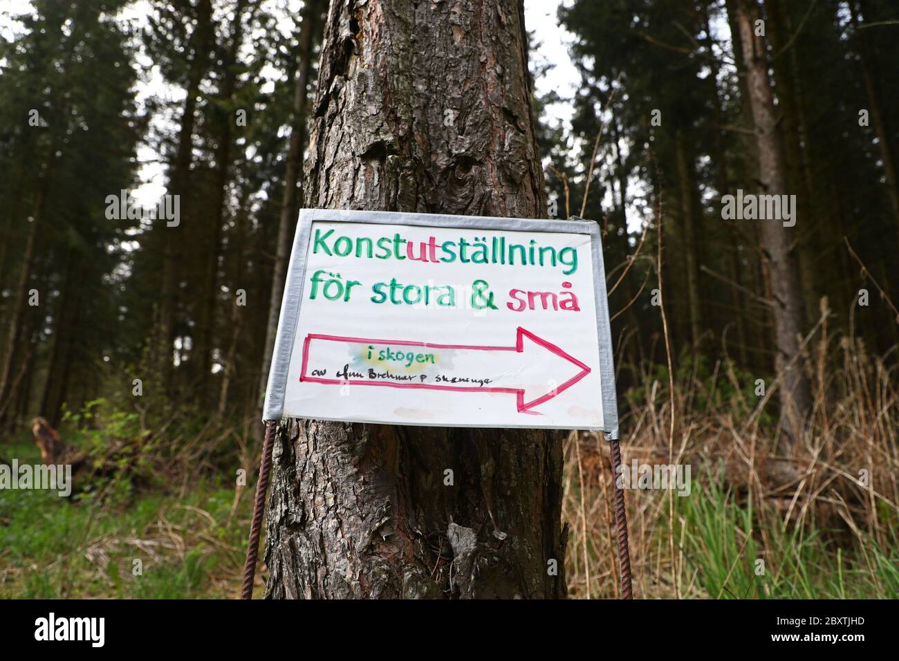 Coronation grove hi-res stock photography and images - Alamy