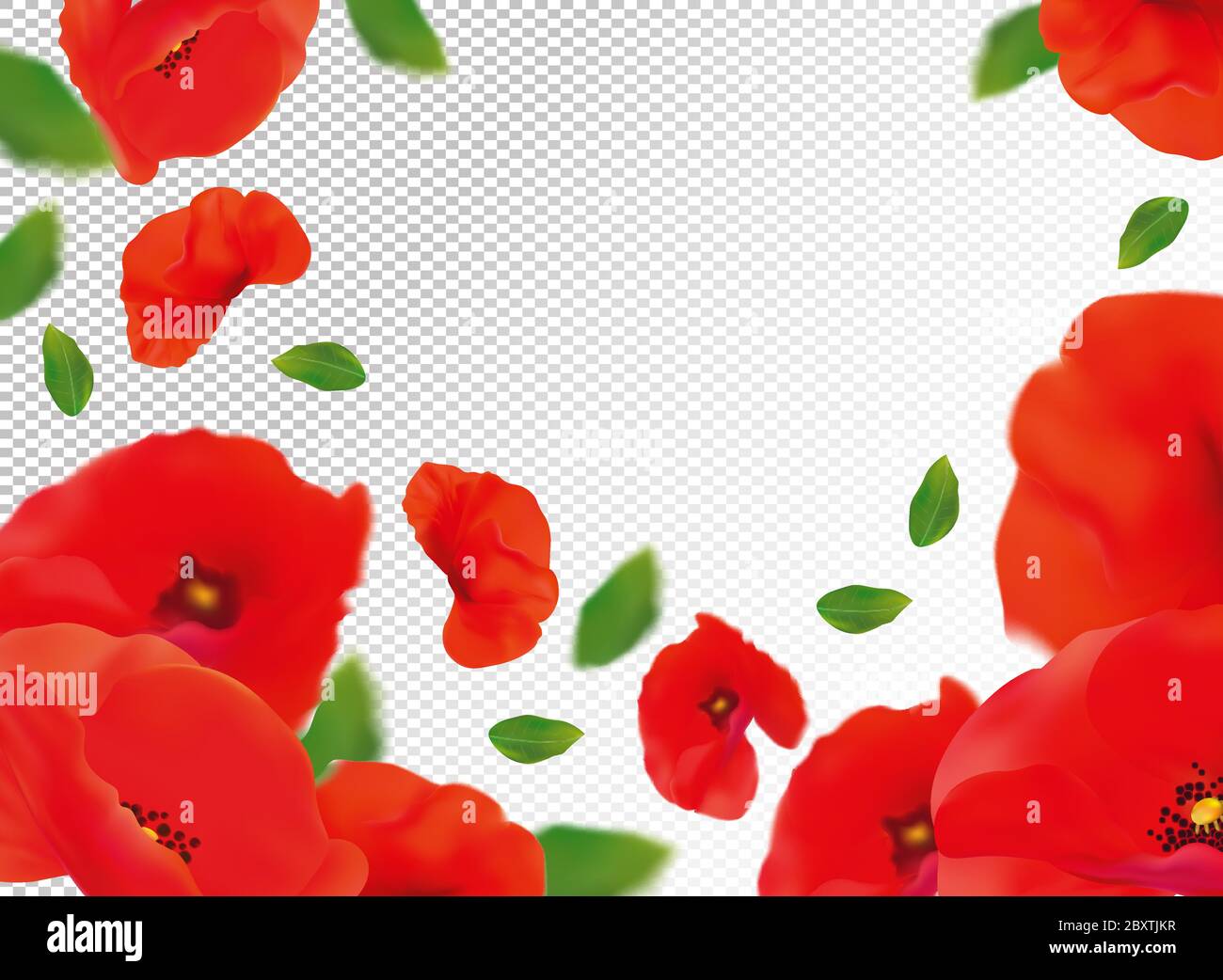 3D realistic red poppies with green leaf. Red poppies flower in motion ...