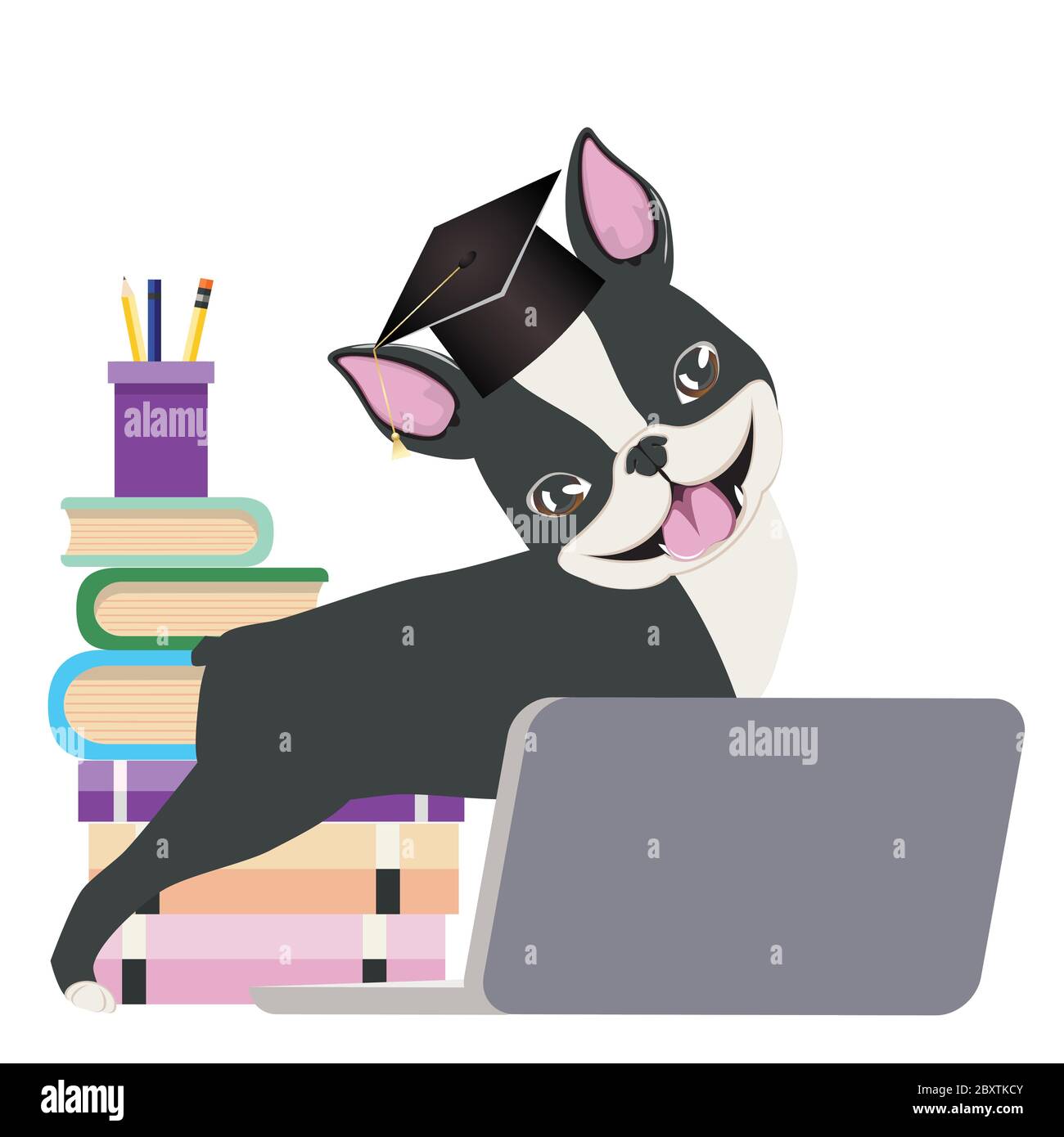 Cute cartoon dog, Boston Terrier wear graduation cap with laptop Stock ...