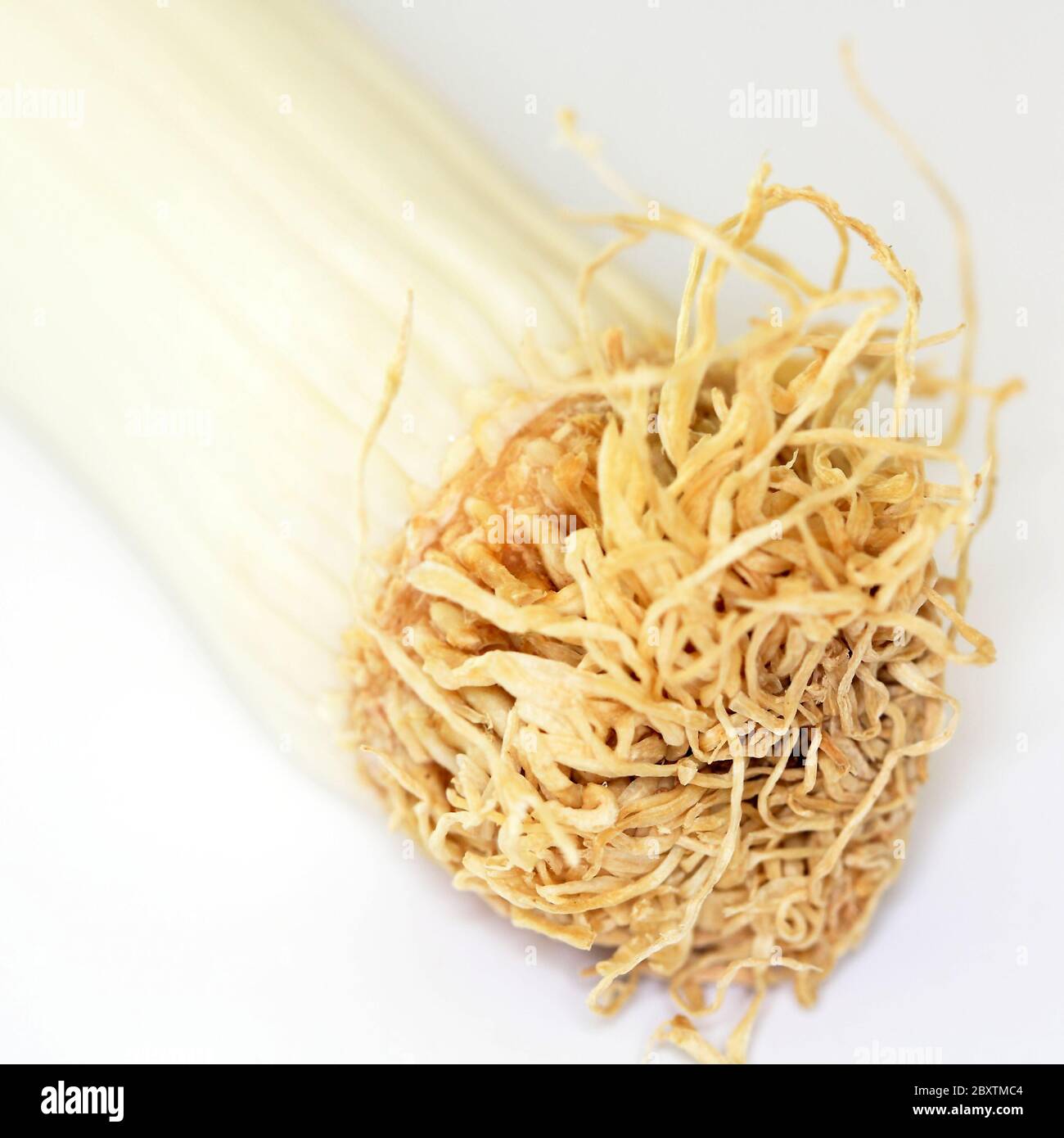 Root vegetables fridge hi-res stock photography and images - Alamy