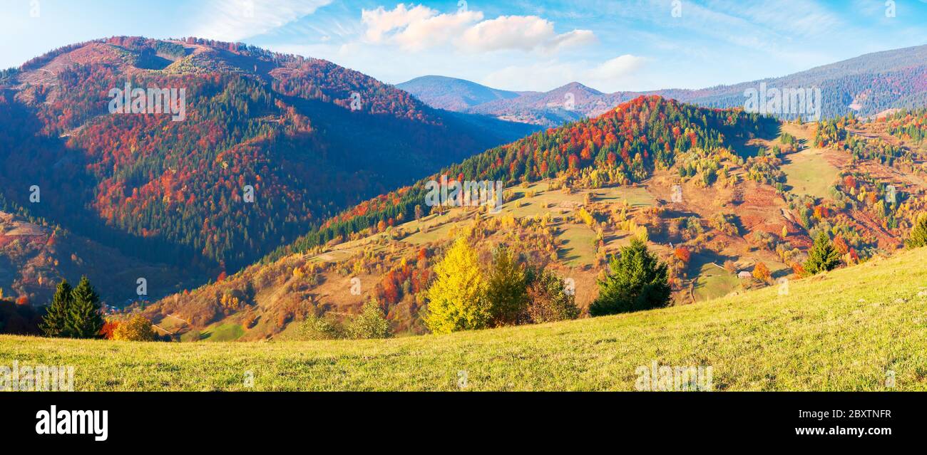 mountainous countryside in autumn. landscape with forests in fall ...