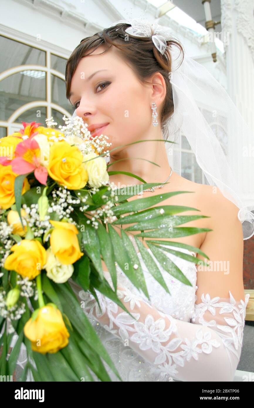bride in wedding dress Stock Photo - Alamy