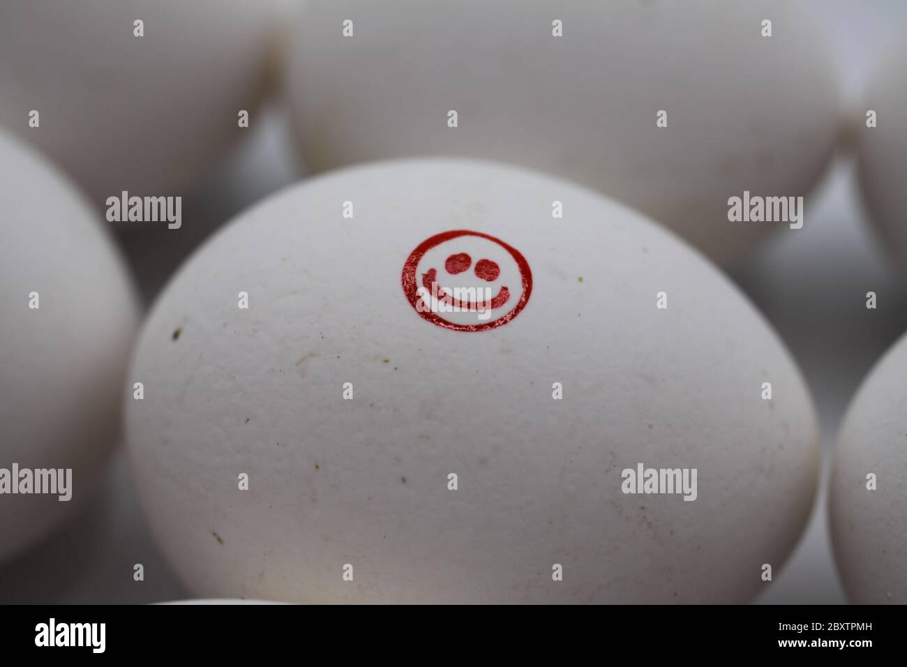 Close up of isolated white raw egg with painting of red smiling face ...