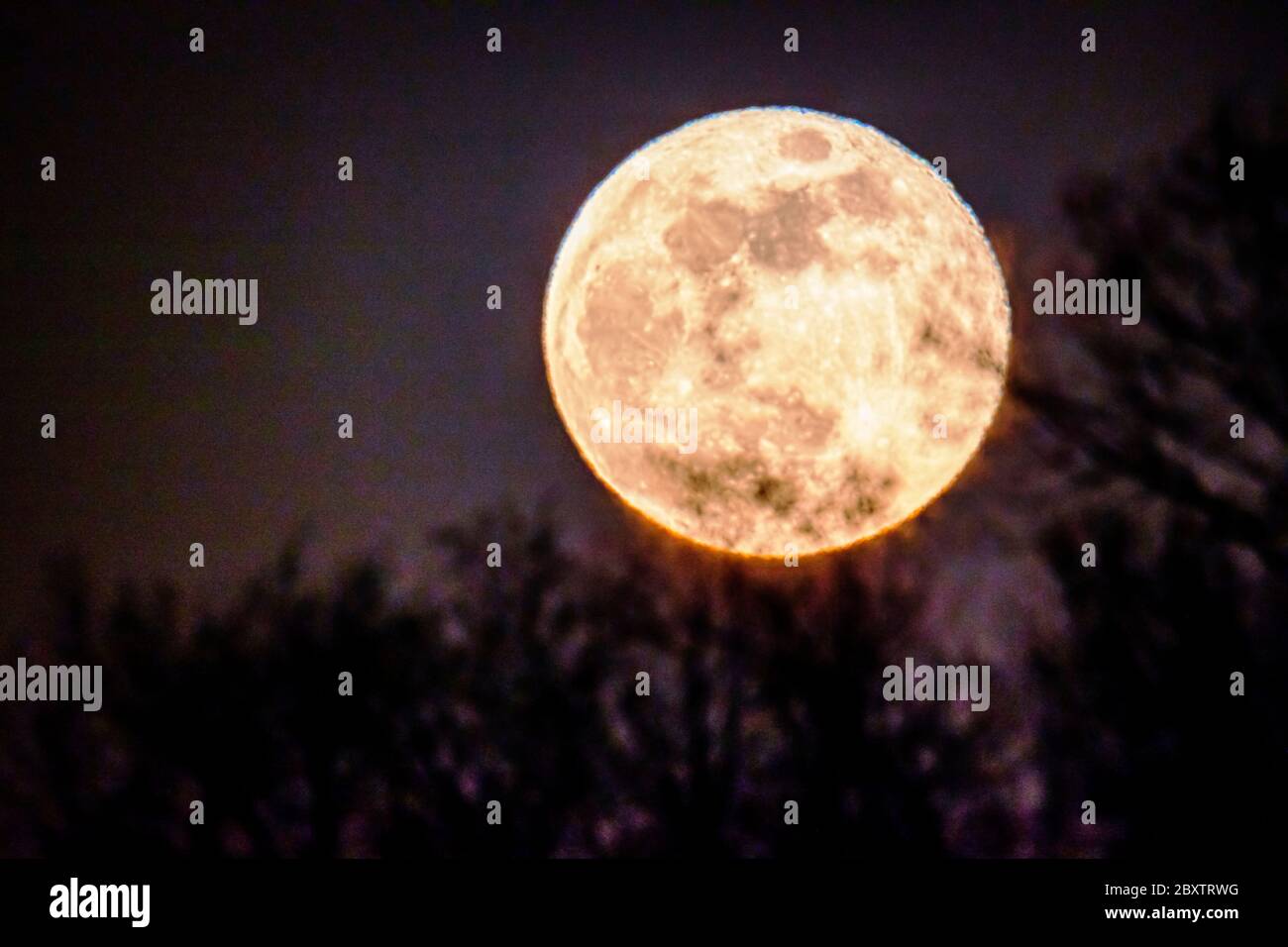 Full Pink Super Moon rising over Rocky Mountains, Salida, Colorado, USA ...