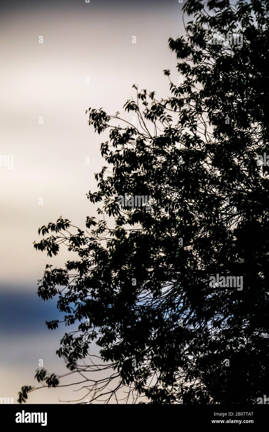 Full exposure hi-res stock photography and images - Alamy