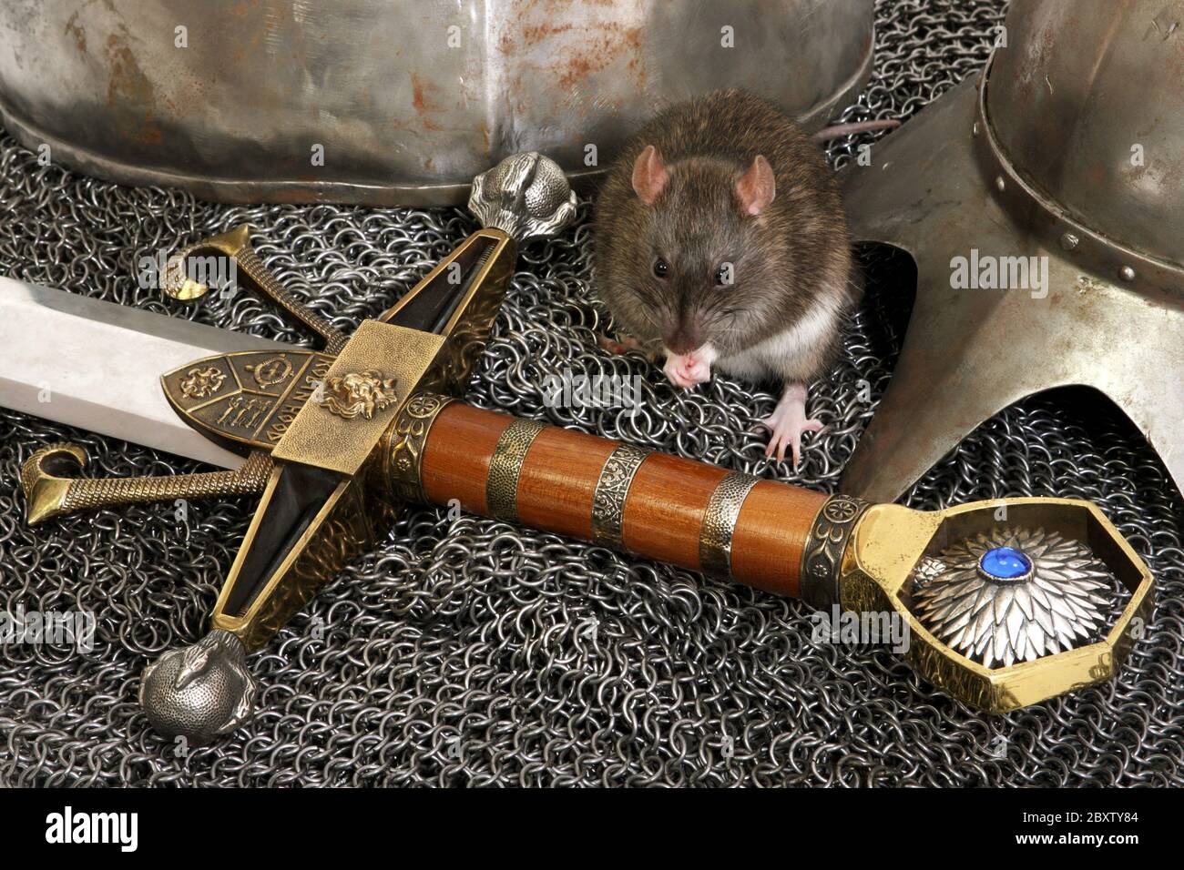 Steel rat hi-res stock photography and images - Alamy