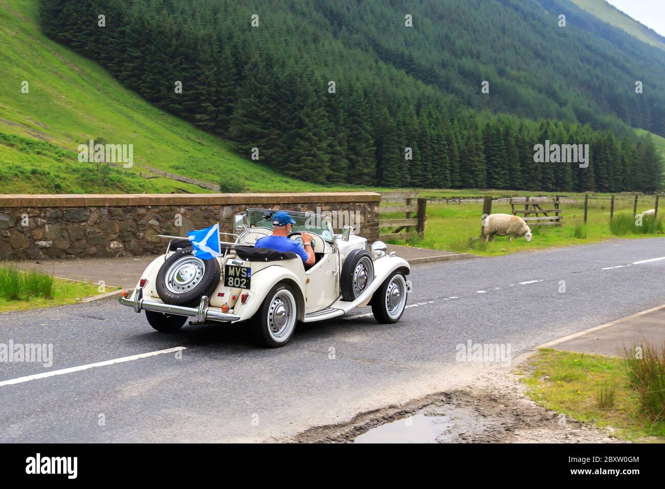 MOFFAT, SCOTLAND - JUNE 29, 2019: MG TD Sports car in a classic car ...