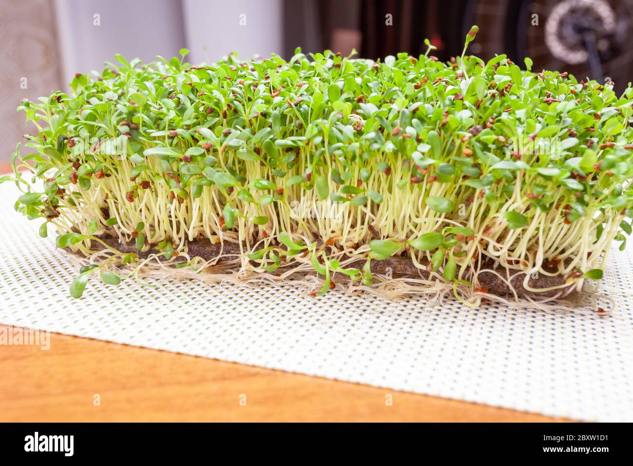 Micro greens young shoots of plants, healthy food Stock Photo - Alamy