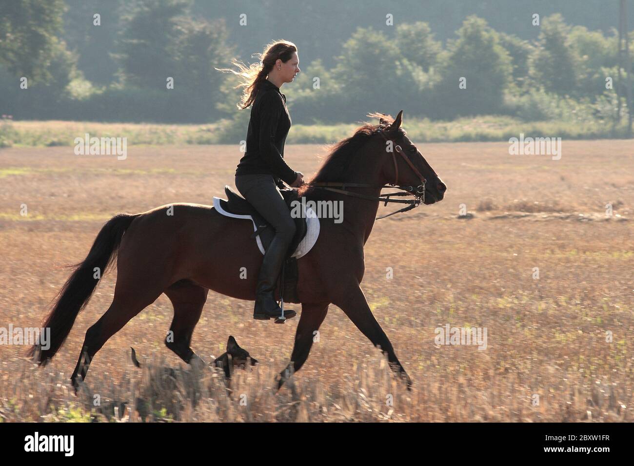 Rider with dog Stock Photo - Alamy