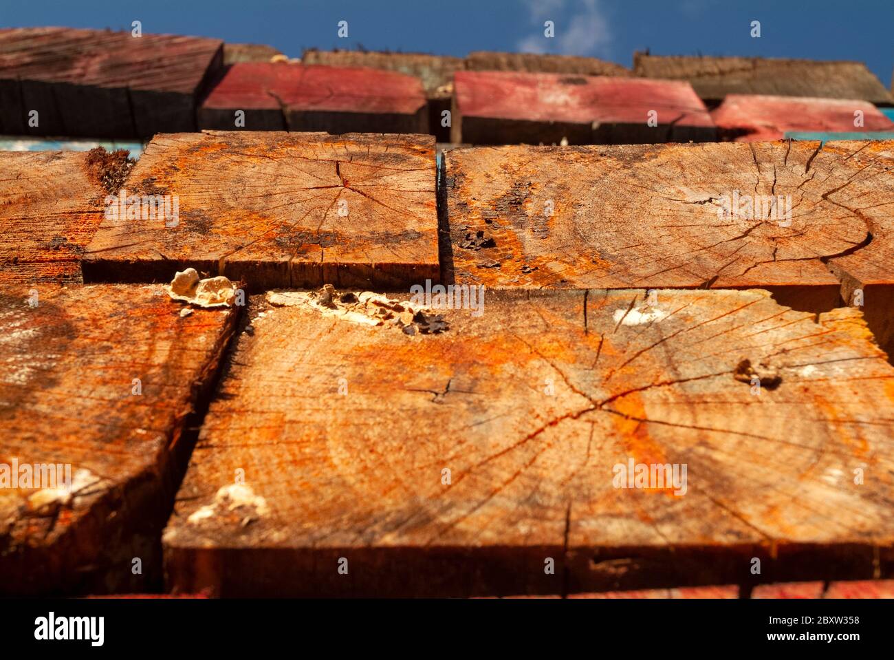 TIMBER: Multicolored wooden logs are stacked into a wall in the parking ...