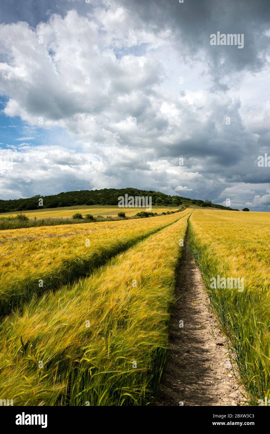 Dramatic outdoor scene hi-res stock photography and images - Alamy