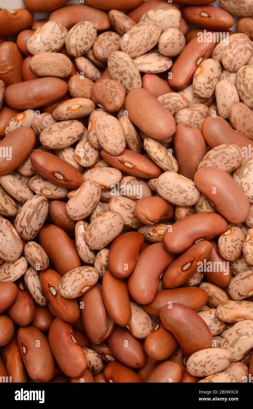 Red kidney bean field hi-res stock photography and images - Alamy