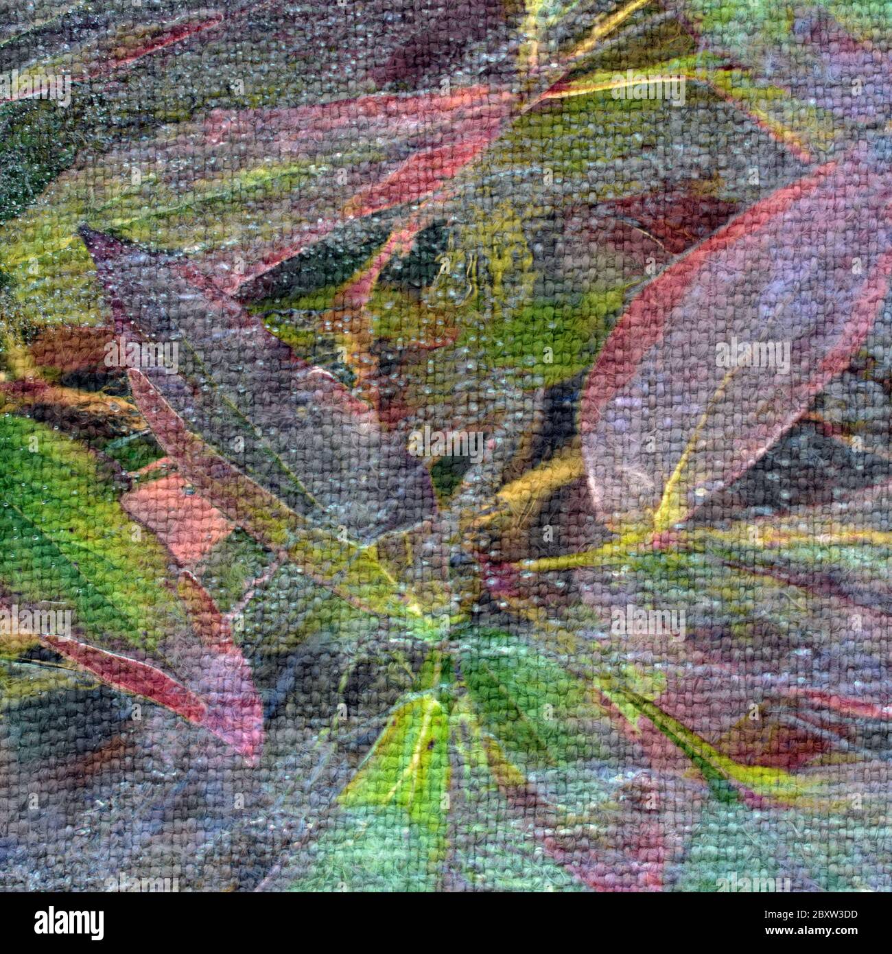 Leaves on a canvas Stock Photo - Alamy