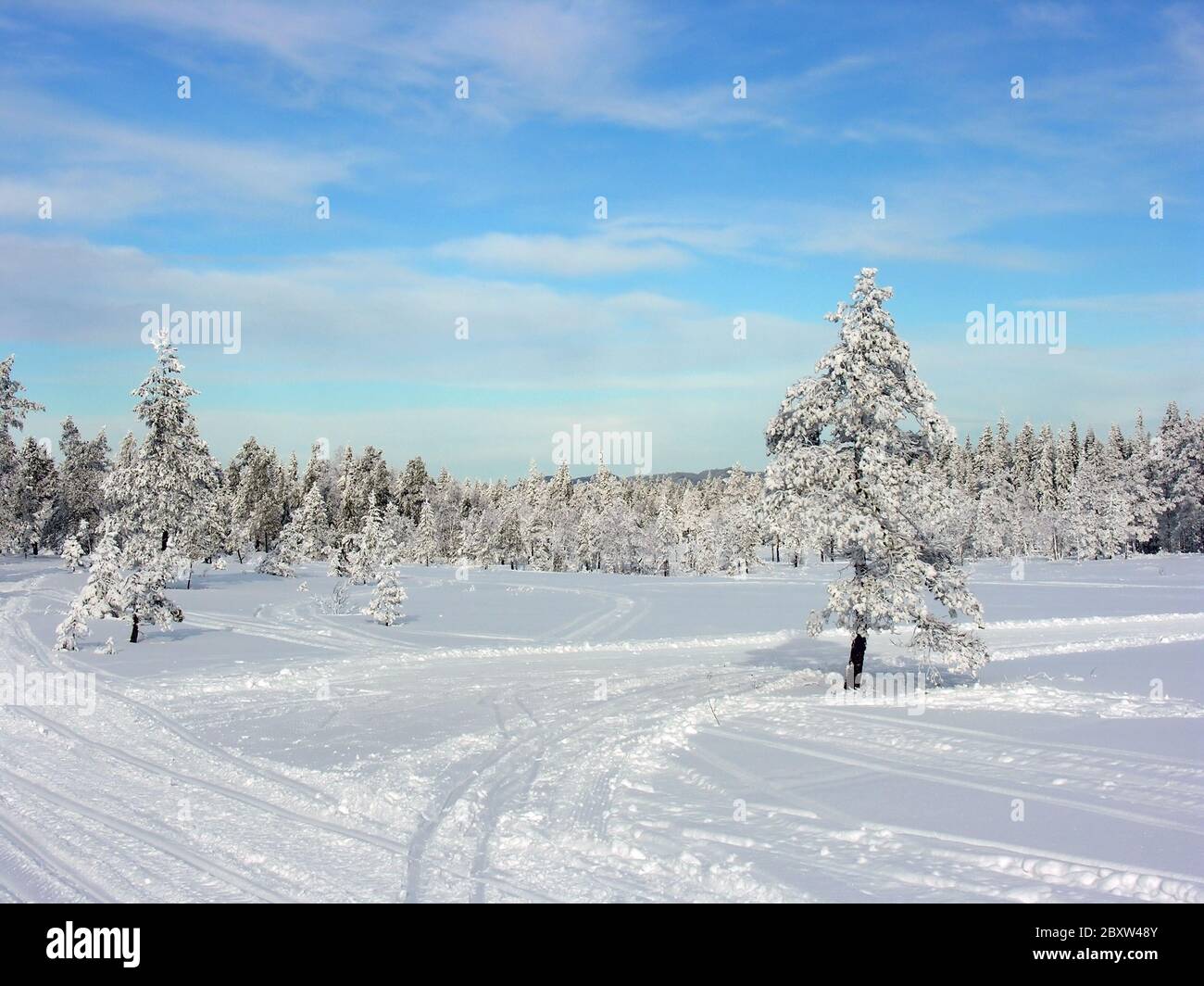 Winter in sweden Stock Photo - Alamy