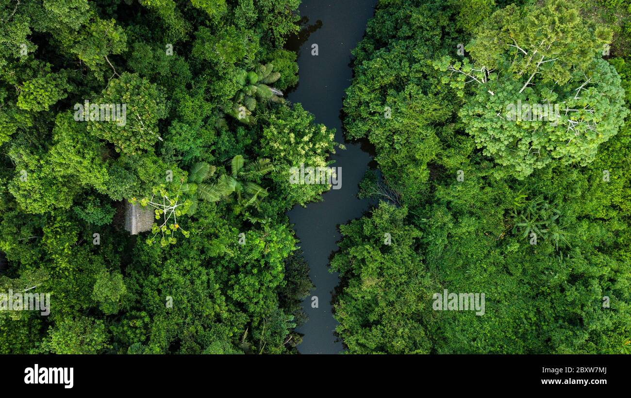 Aerial photo of Amazon rain forest jungle with the river view in Peru ...