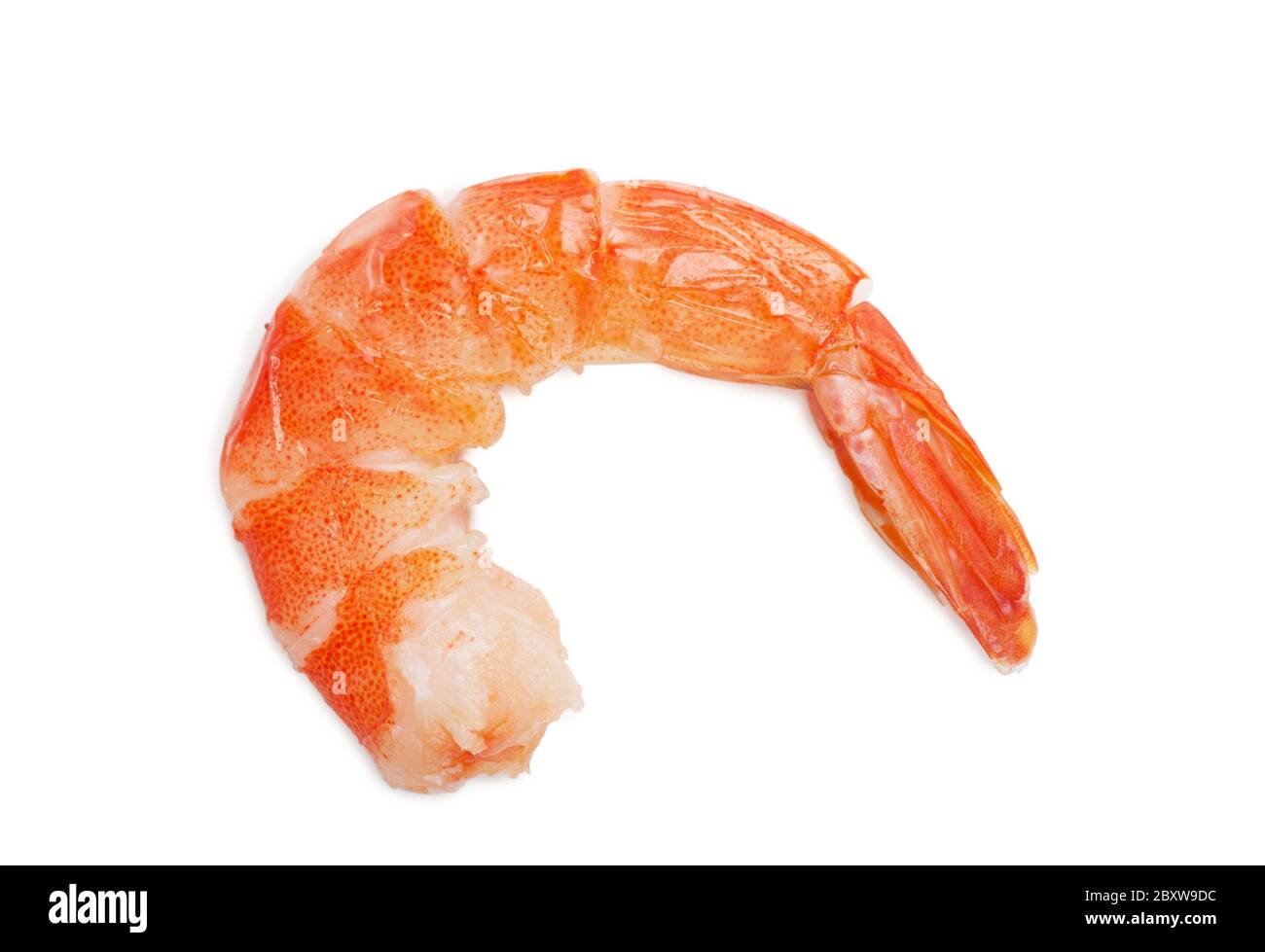 Three shrimp prawn isolated hi-res stock photography and images - Alamy