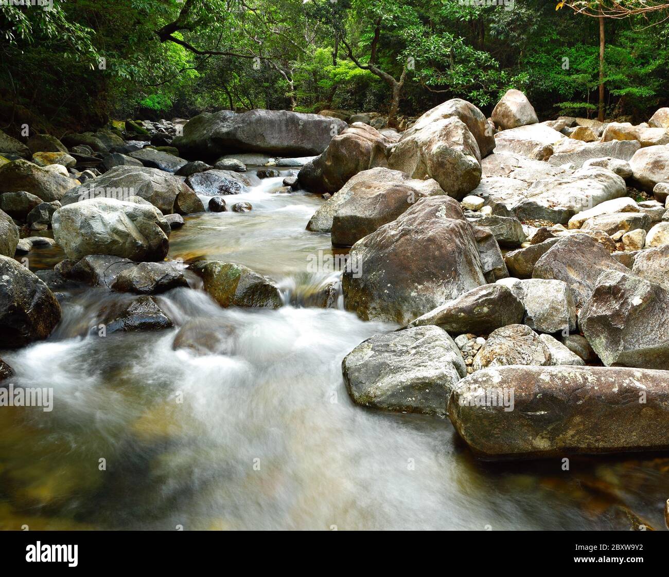 water spring in forest Stock Photo - Alamy