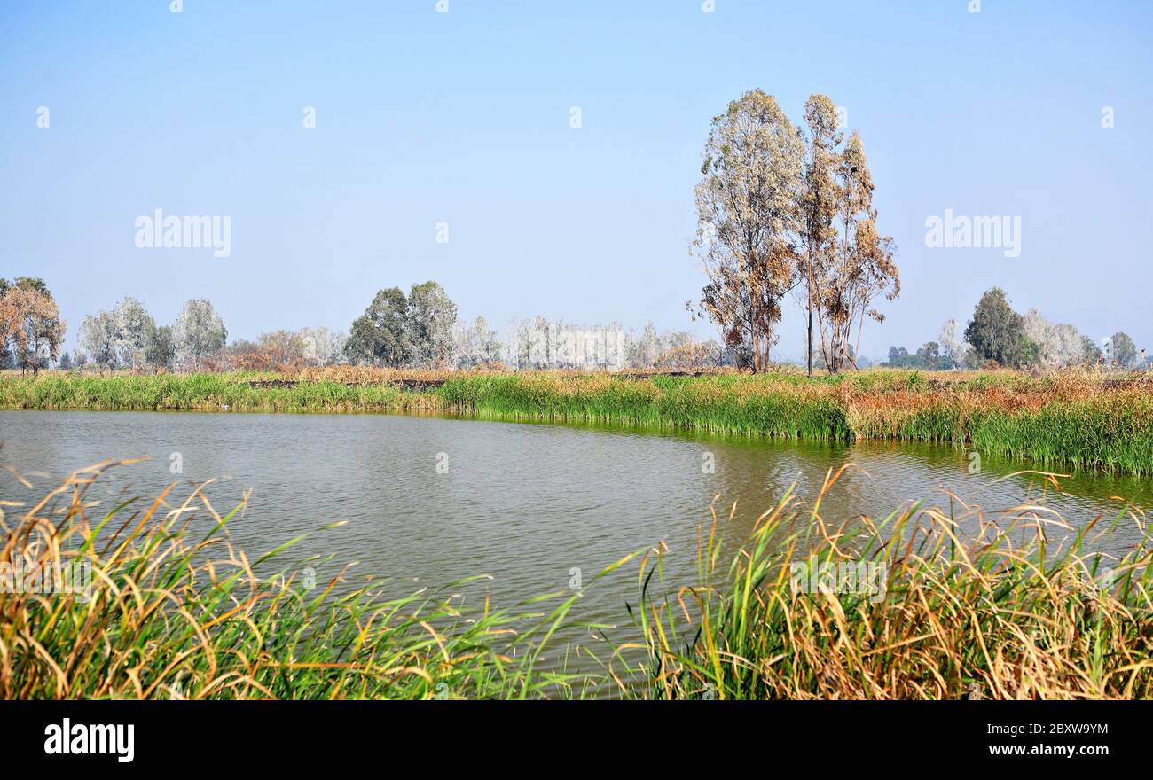 Hong kong wetland park hi-res stock photography and images - Alamy