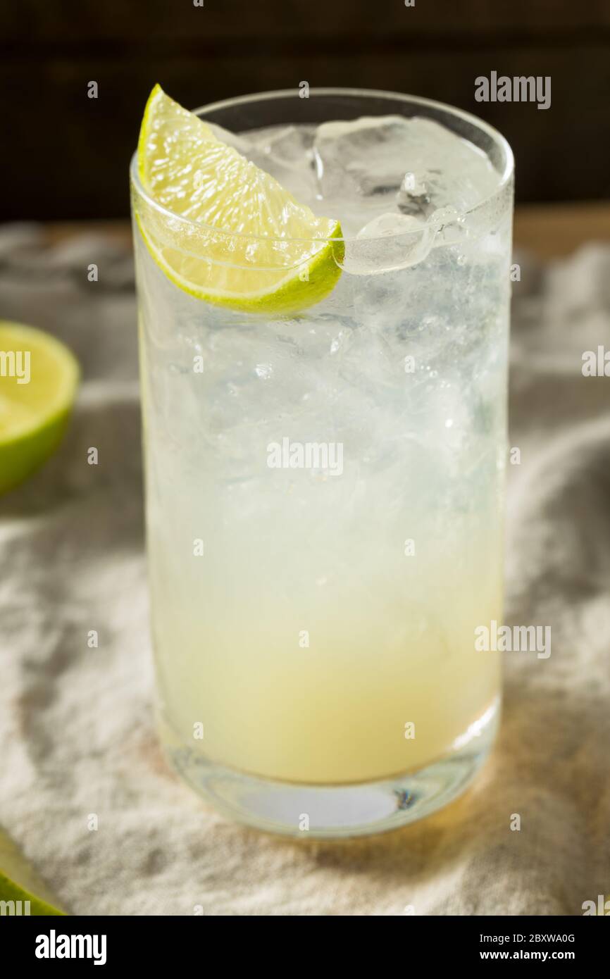 Boozy Alcoholic Lime Gin Rickey Cocktail with Soda Stock Photo - Alamy