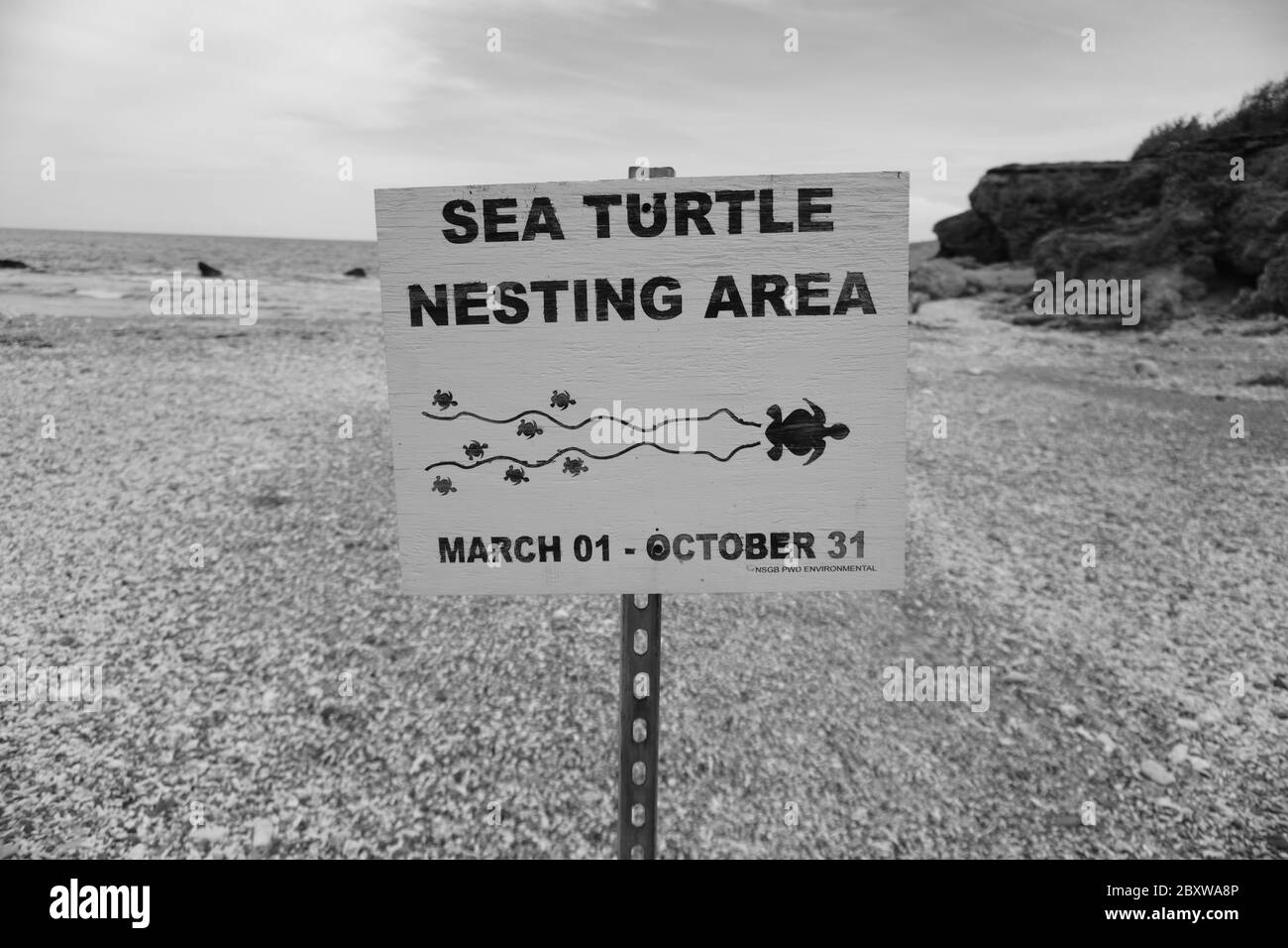 Sea turtle nesting area sign Stock Photo - Alamy