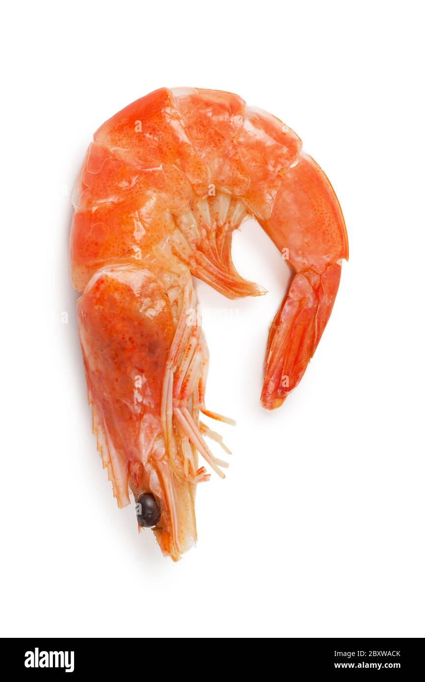 Frozen shrimp Cut Out Stock Images & Pictures - Alamy