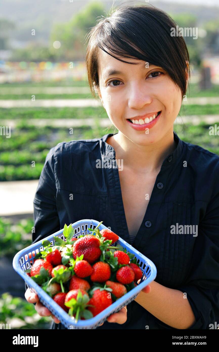 girl pick strawberry Stock Photo - Alamy