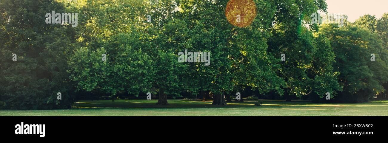 Empty public park hi-res stock photography and images - Alamy