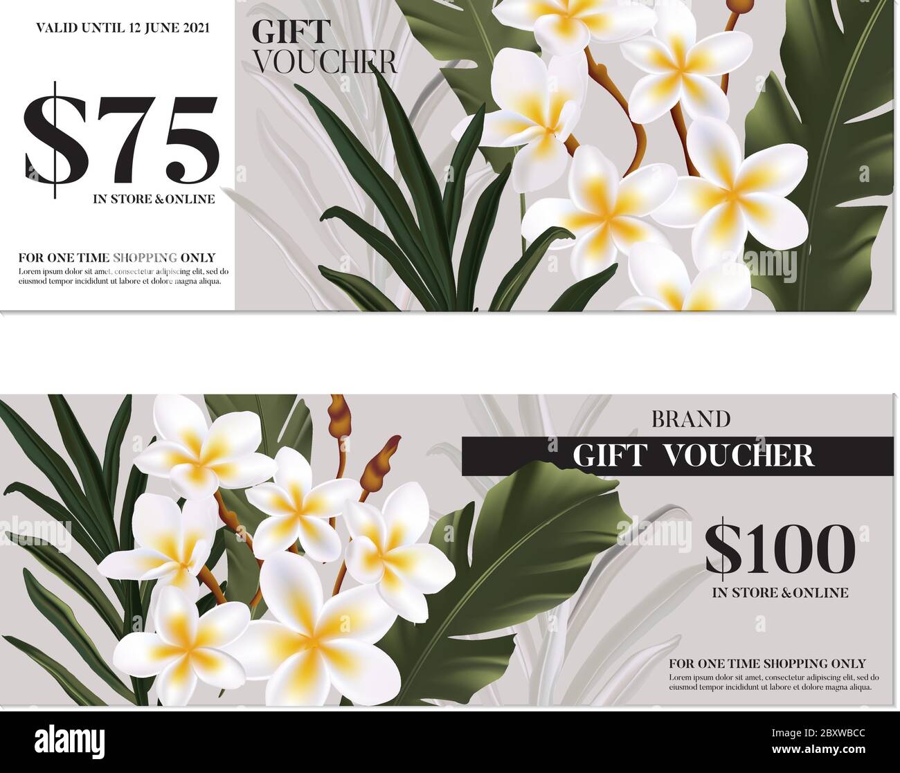 Vector hand-drawn hibiscus flowers, paradise exotic plumeria flowers ...