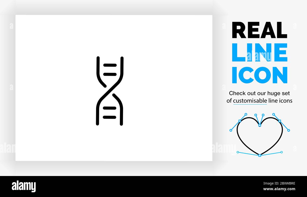Editable real line icon of a string of DNA used in biology Stock Vector ...