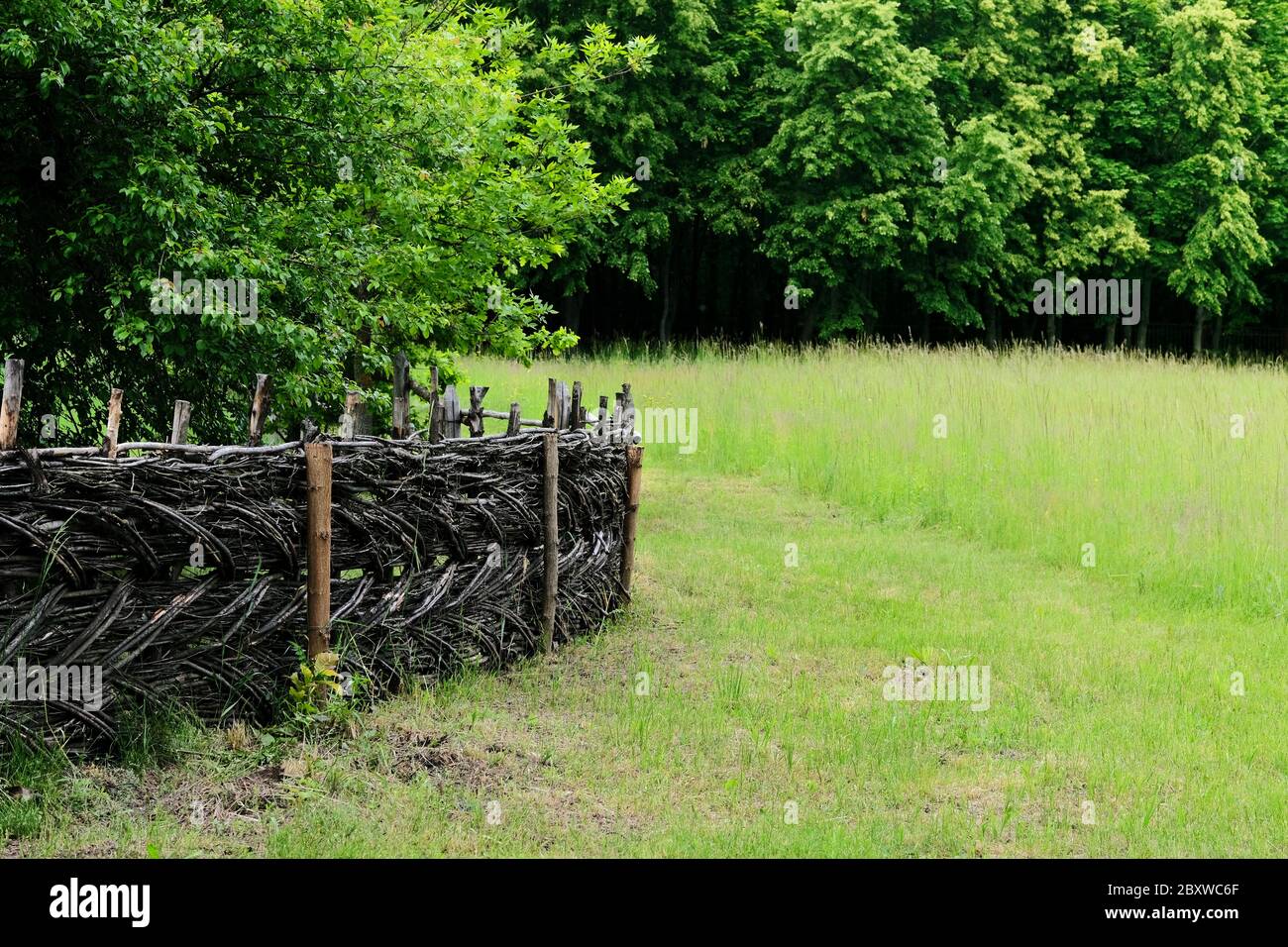 Wooden rural fence in village near the house near the forest. Authentic ...