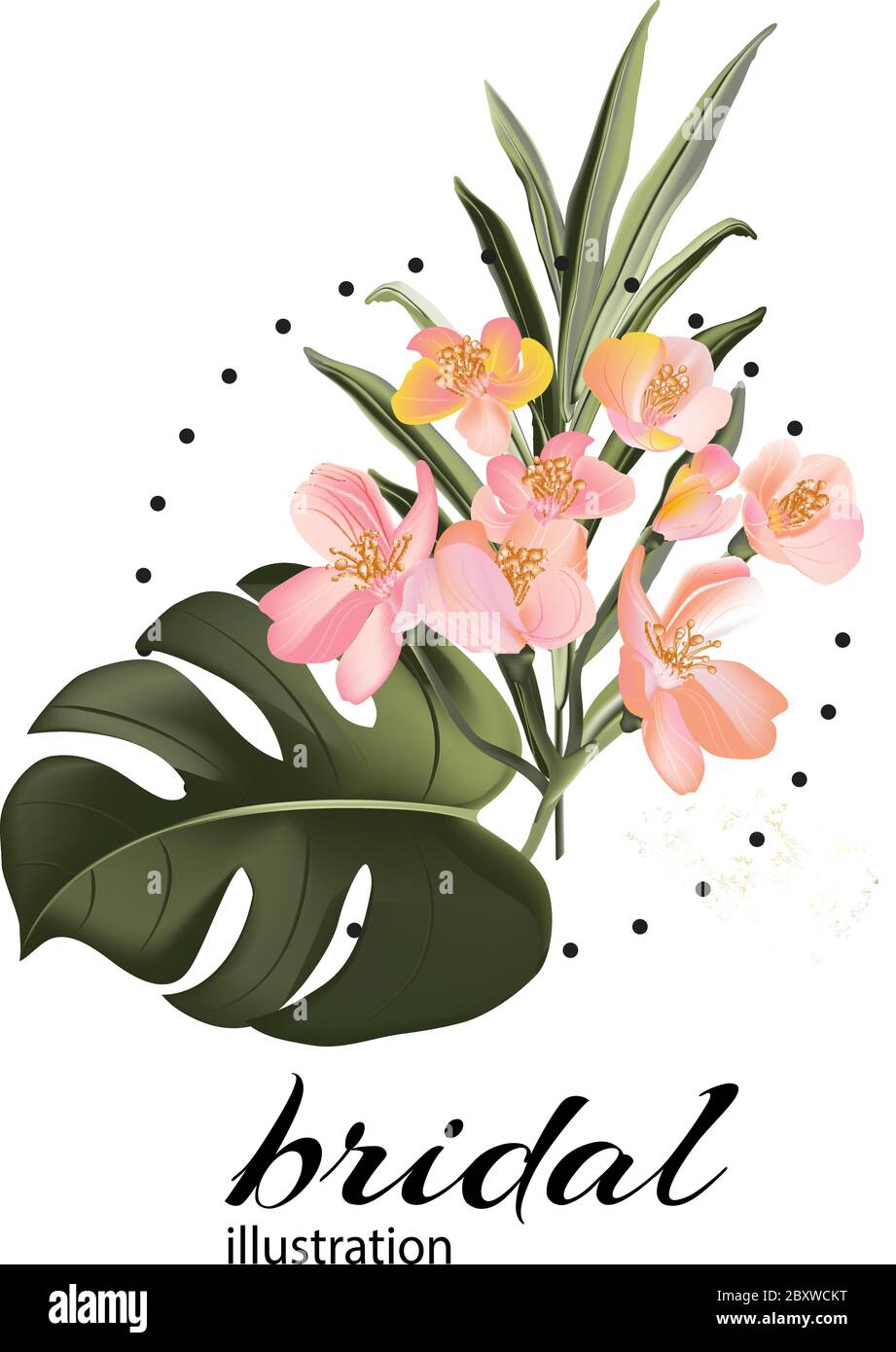 Dark green succulent Stock Vector Images - Alamy