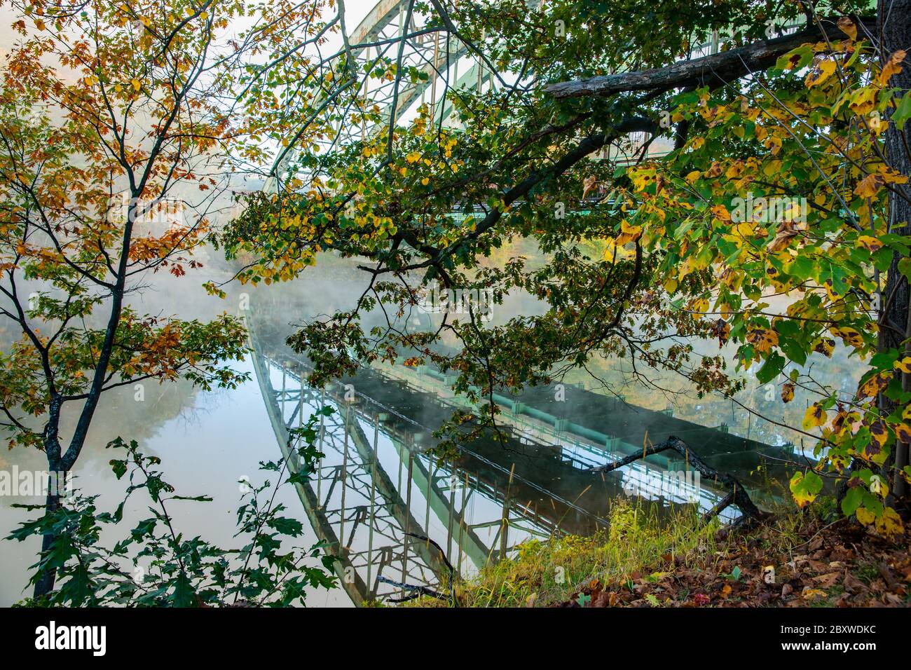 Route 9 Bridge over and reflected through trees and early morning fog ...