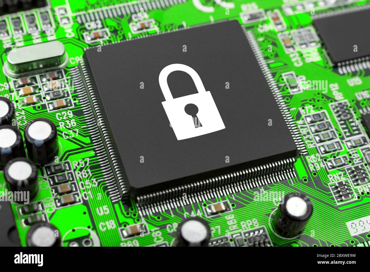 Chip bug hi-res stock photography and images - Alamy