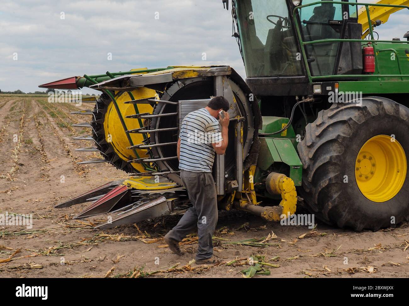 Cutting corn hi-res stock photography and images - Alamy
