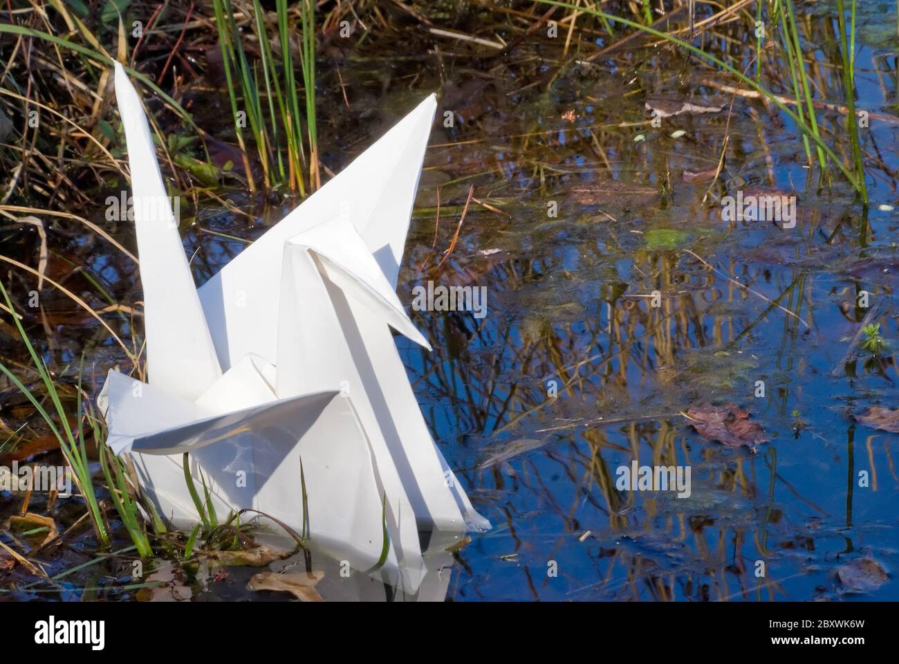 Oragami crane hi-res stock photography and images - Alamy
