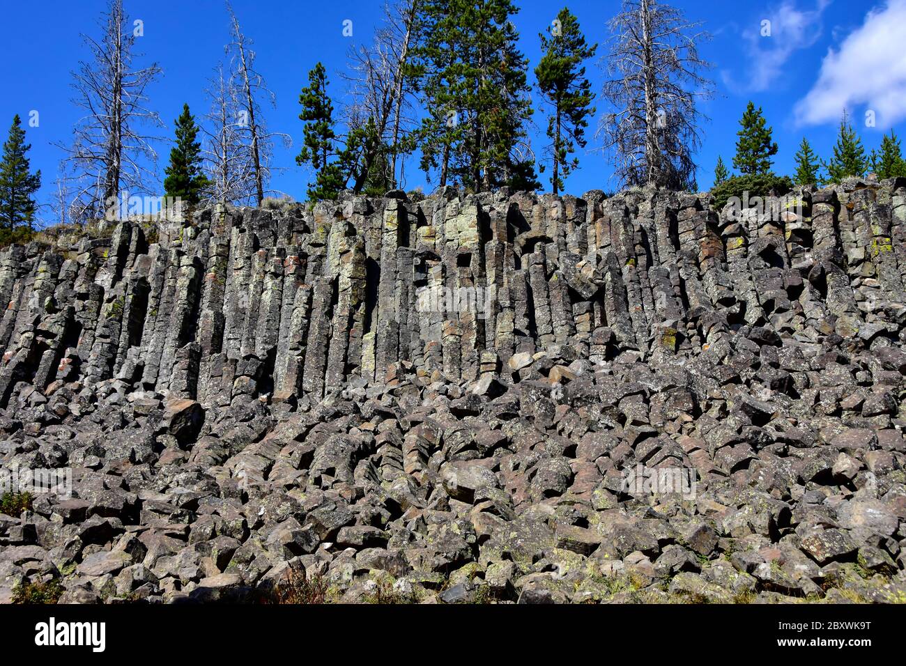 The strange rock formation at Sheepeater cliffs at Yellowstone National ...