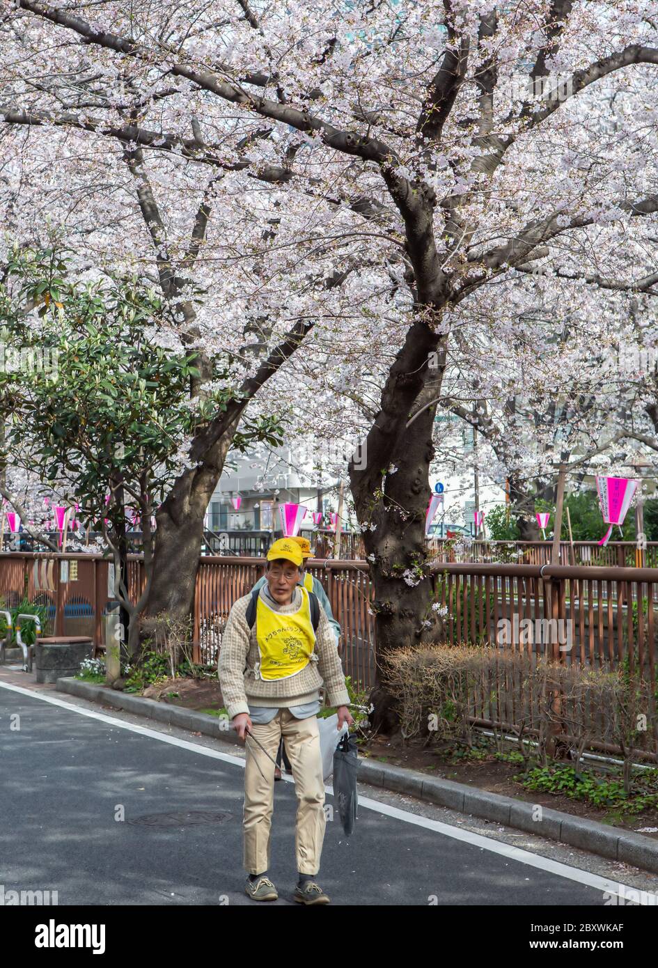 Volunteer community cleaners cleaning rubbish at Meguro street during ...