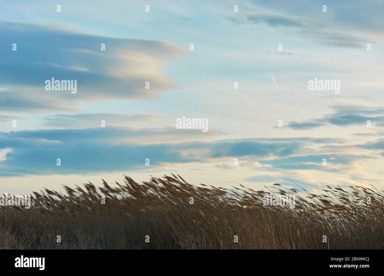 Dusters hi-res stock photography and images - Alamy